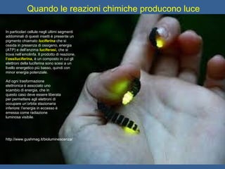 La chimica e la luce scienza in gara al moro | PPT