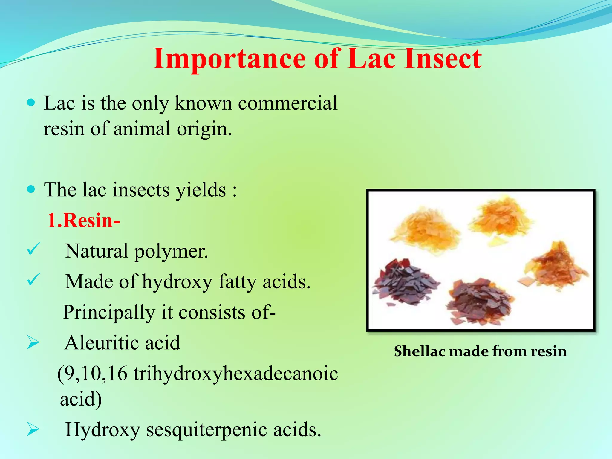 Lac insect, it's natural enemies and their management | PPTX