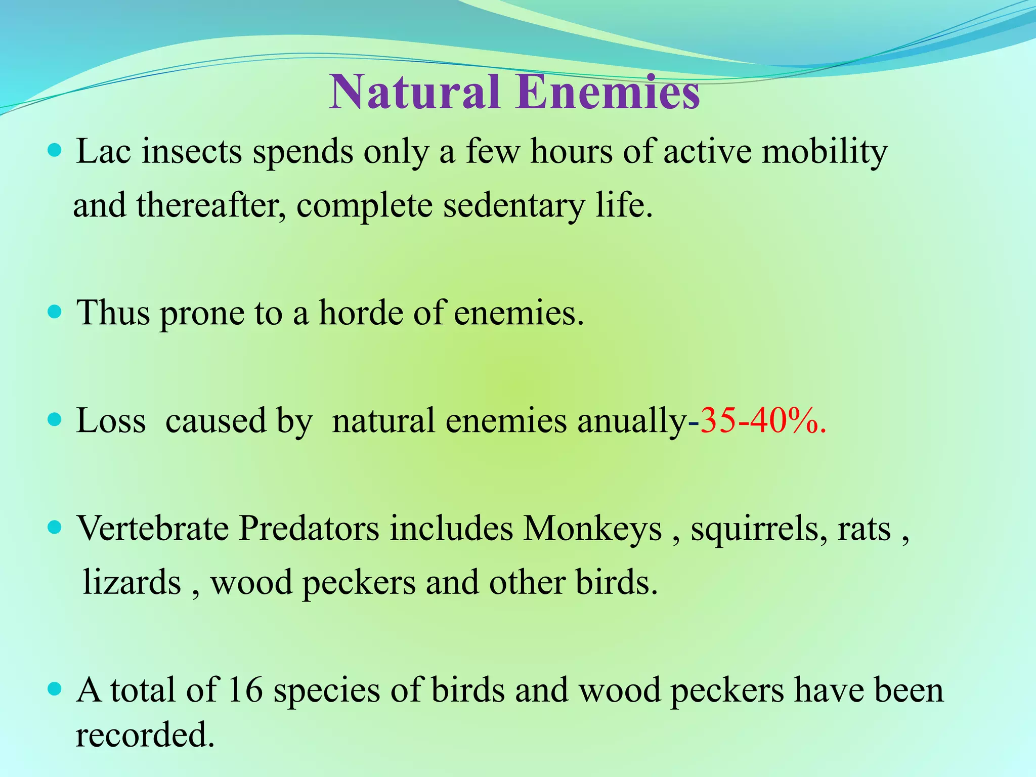 Lac insect, it's natural enemies and their management | PPTX