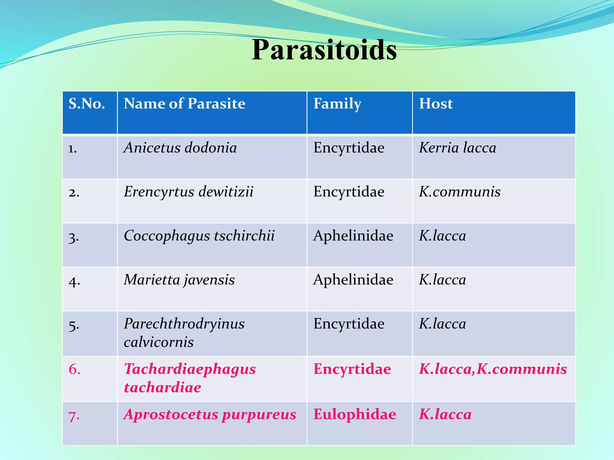 Lac insect, it's natural enemies and their management | PPTX