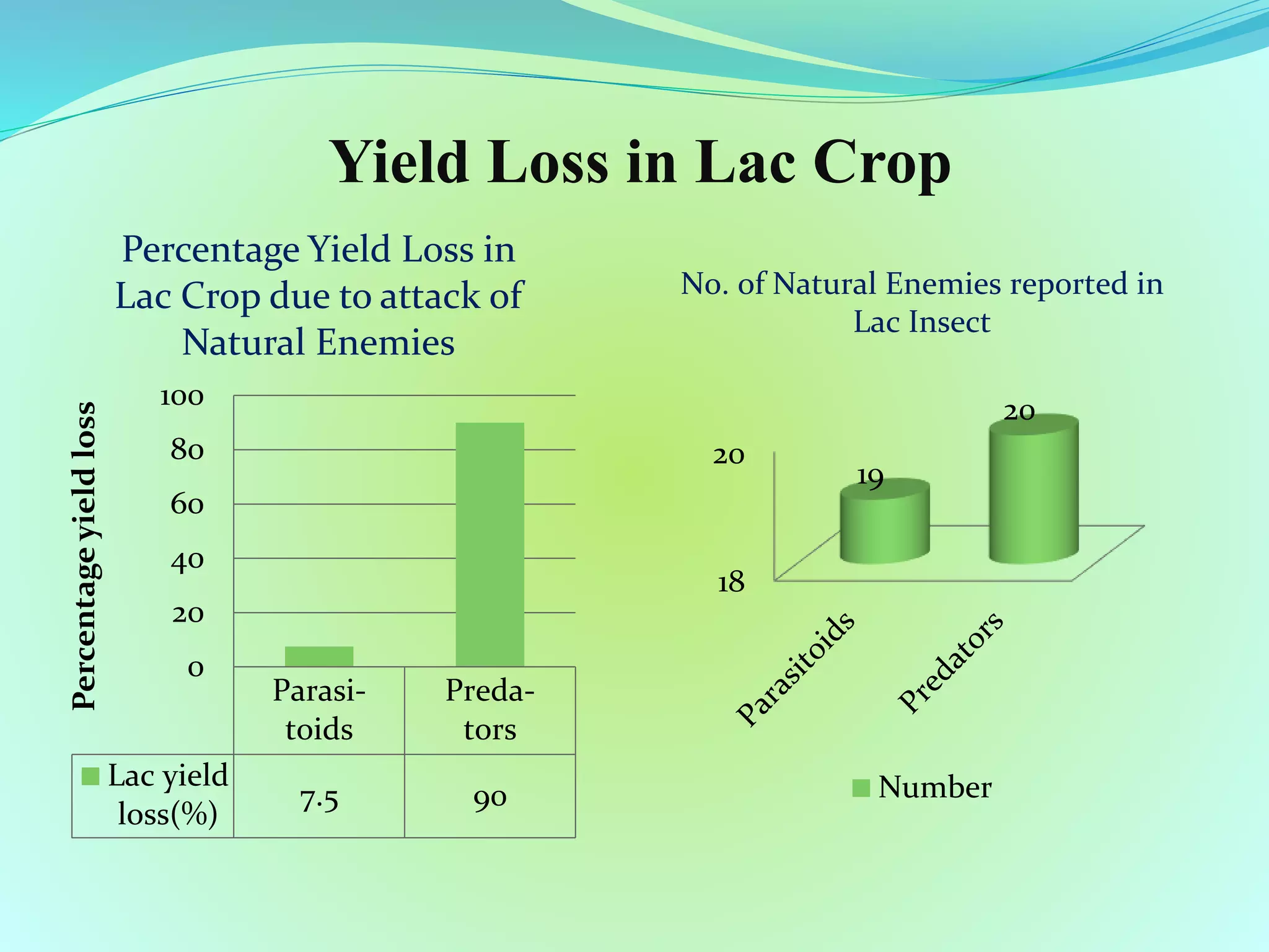 Lac insect, it's natural enemies and their management | PPTX