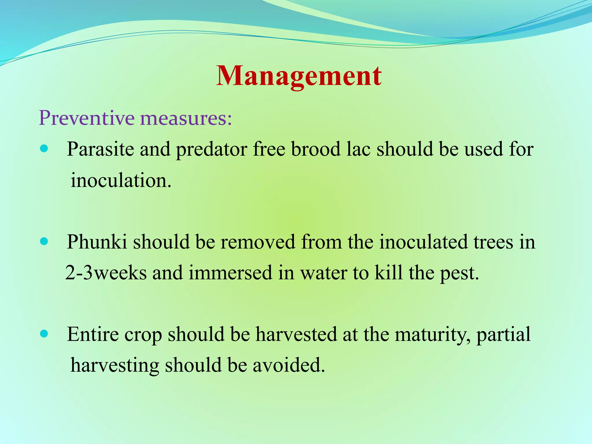 Lac insect, it's natural enemies and their management | PPTX
