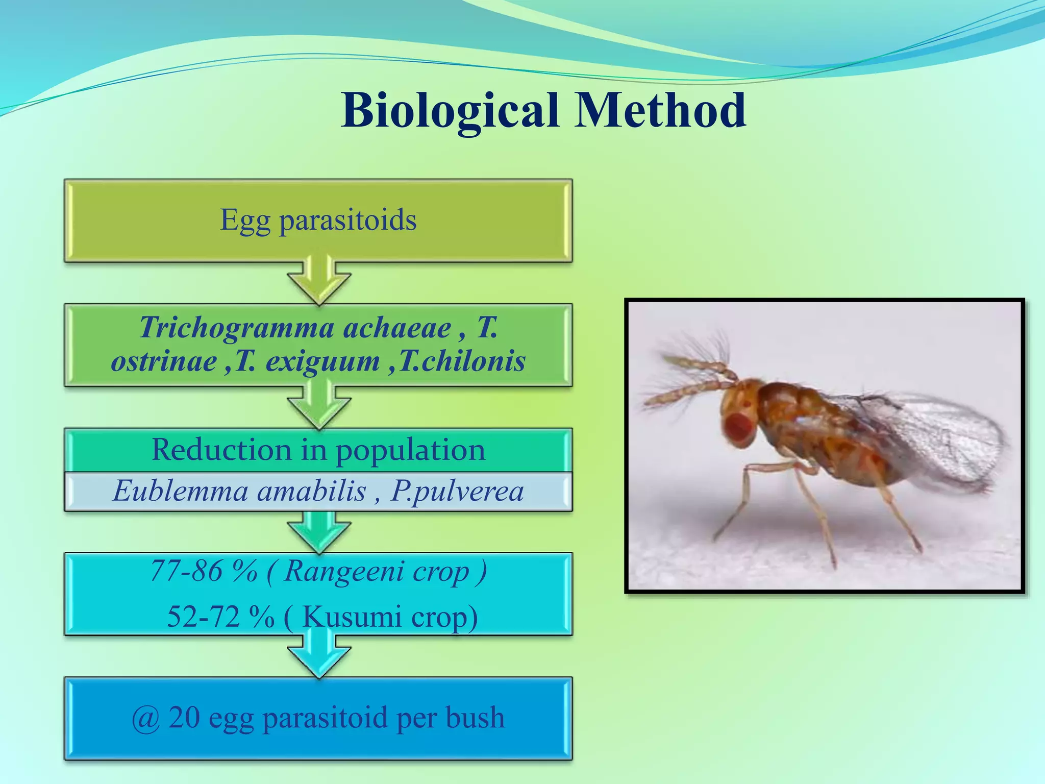 Lac insect, it's natural enemies and their management | PPTX