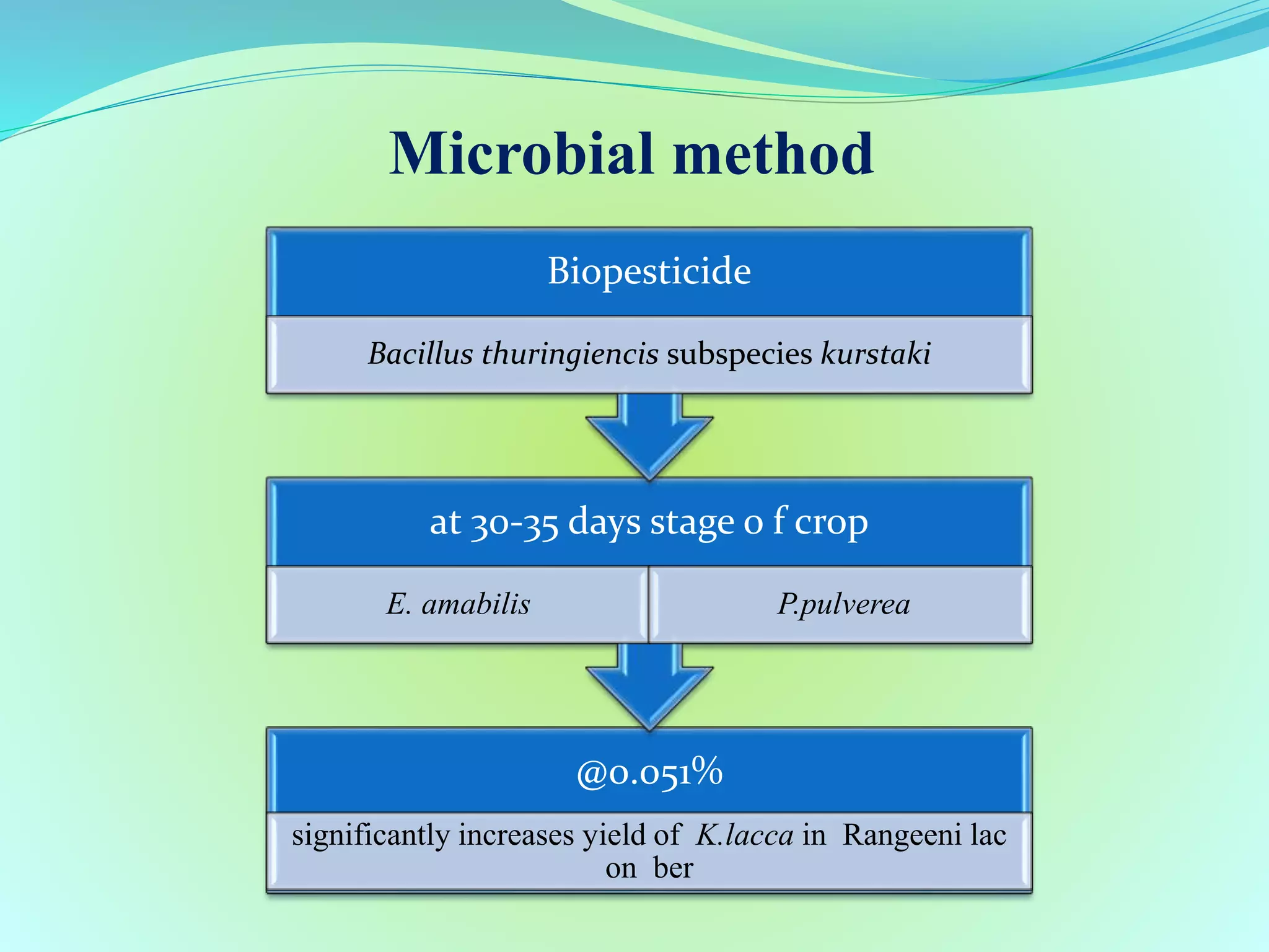 Lac insect, it's natural enemies and their management | PPTX