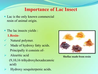 Lac insect, it's natural enemies and their management | PPTX
