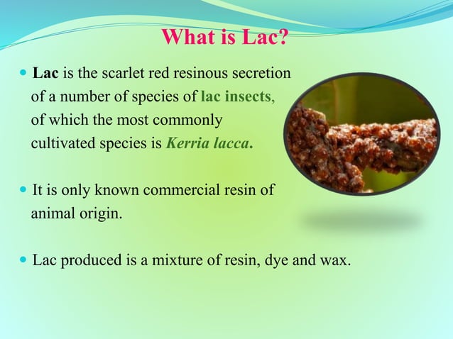 Lac insect, it's natural enemies and their management | PPTX ...