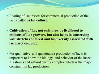 Lac insect, it's natural enemies and their management | PPTX