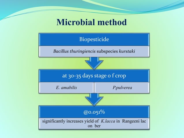 Lac insect, it's natural enemies and their management | PPTX ...