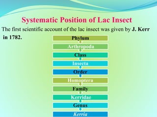 Lac insect, it's natural enemies and their management | PPTX