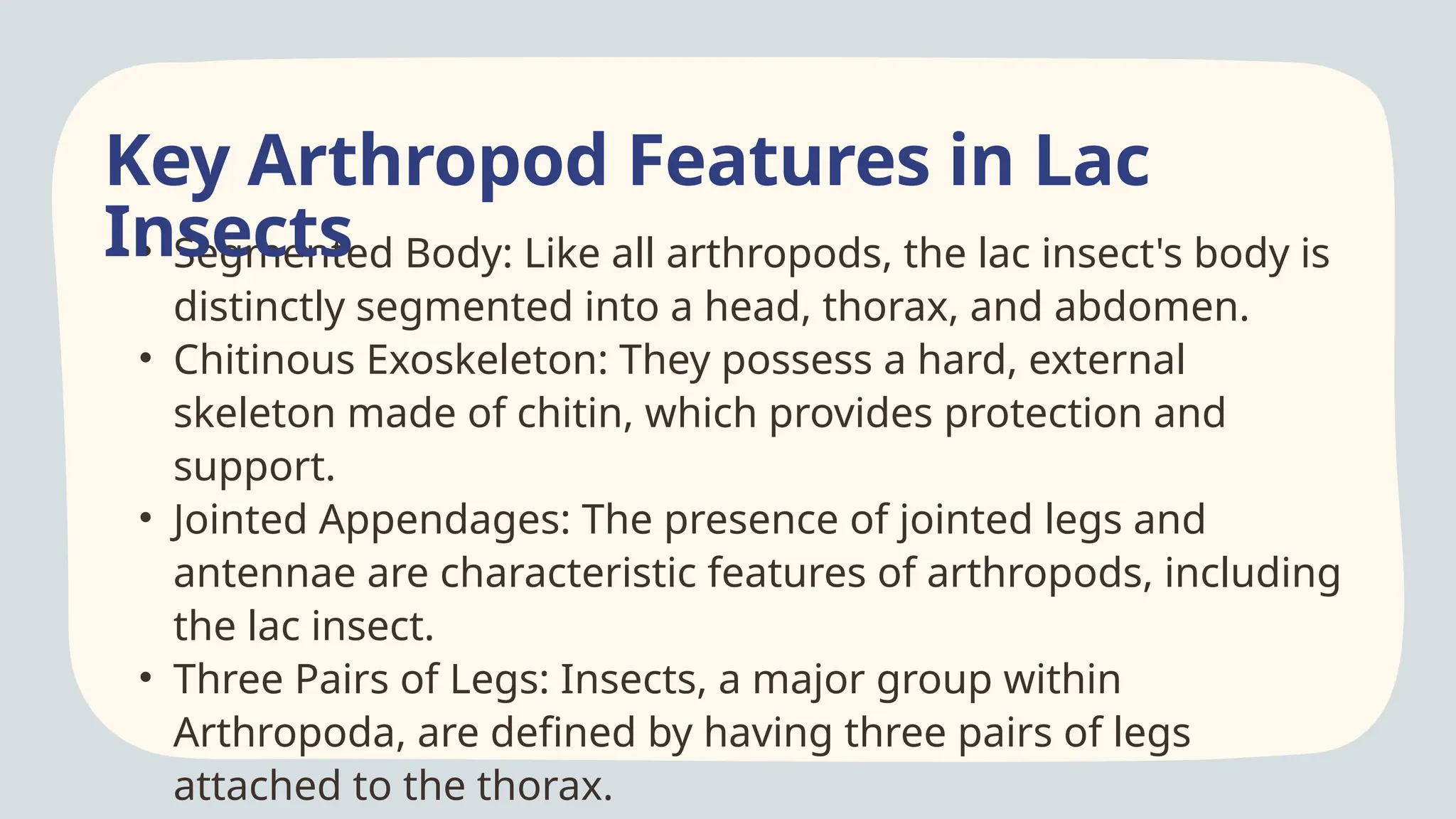 Lac Insect complete _20251002_220741_0000.pptx