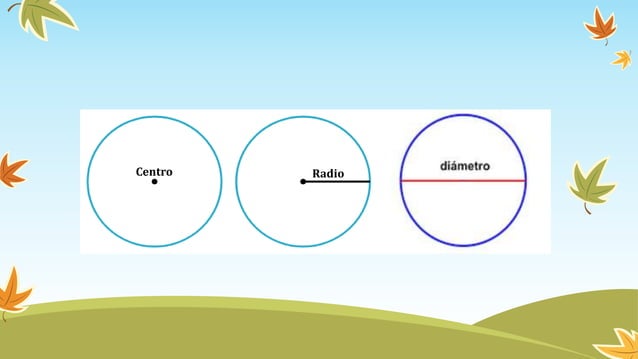 La circunferencia: Diámetro y radio | PPTX