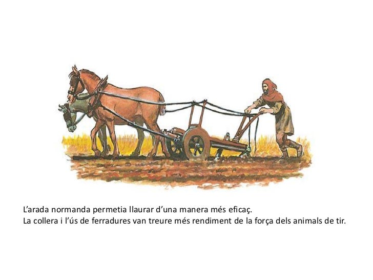 BLOC 4. LA BAIXA EDAT MITJANA – Eduard Vives Toro