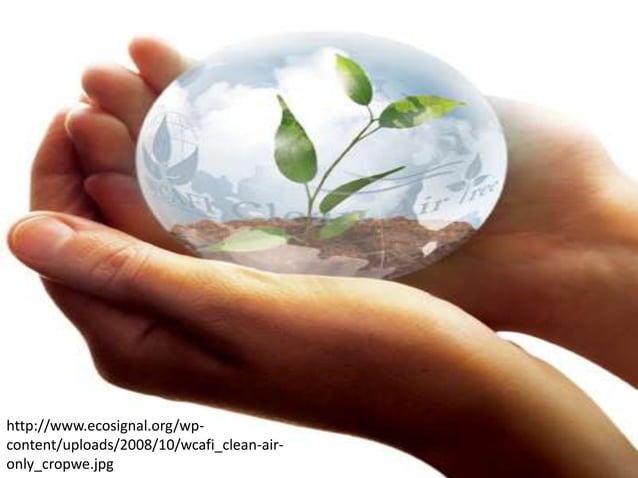 Lack of food caused by overpopulation | PPTX | Environment | Science