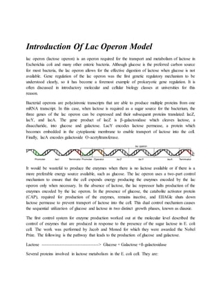 Lac operon model | DOCX