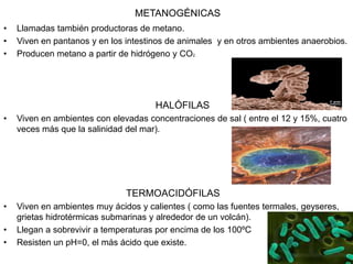 La clasificación de los seres vivos | PPTX