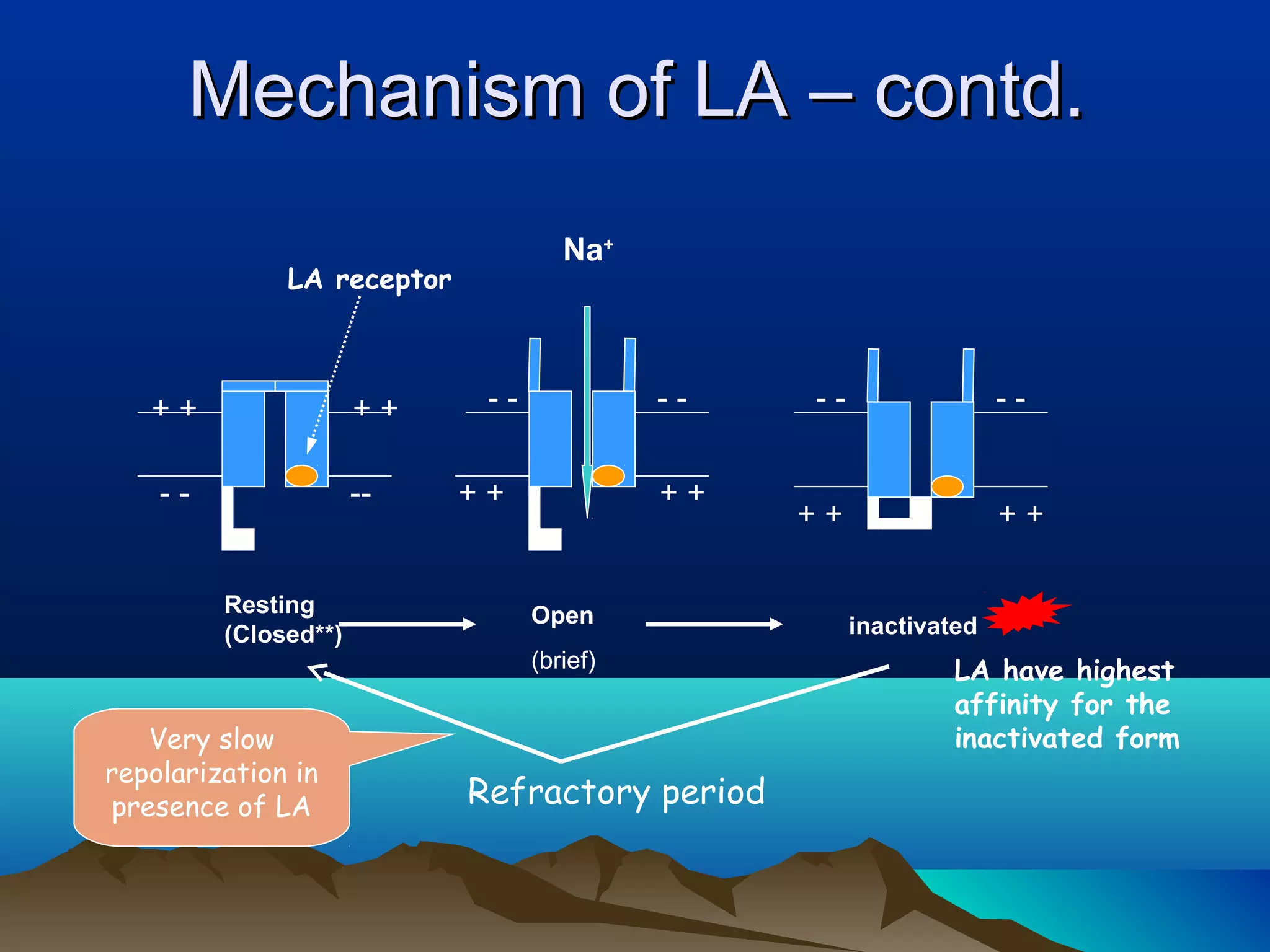 Local Anaesthetics | PPT