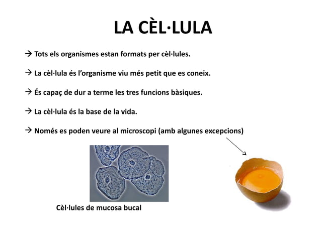 La cèl·lula | PPT