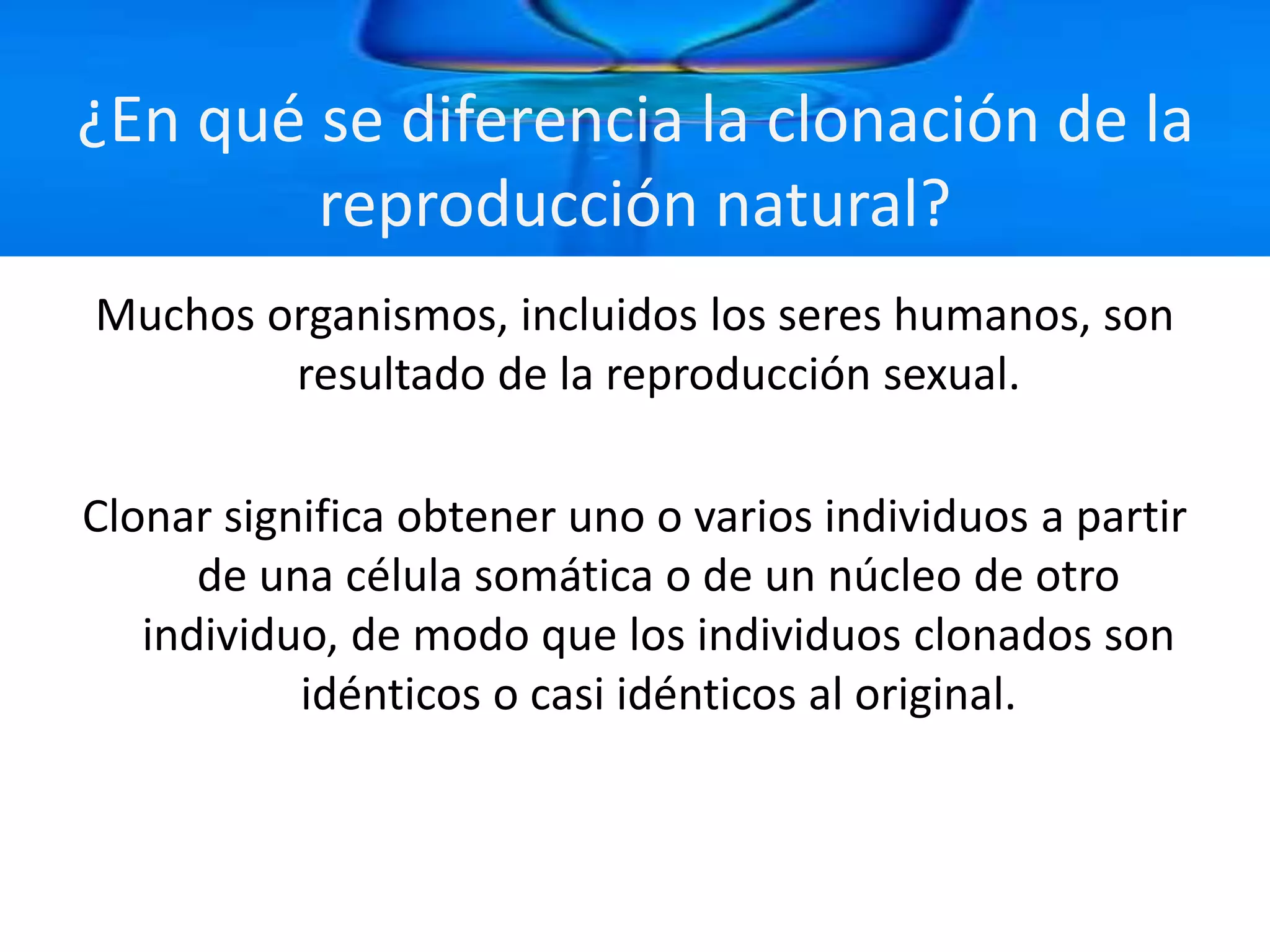 La clonacion y sus repercusiones | PPTX