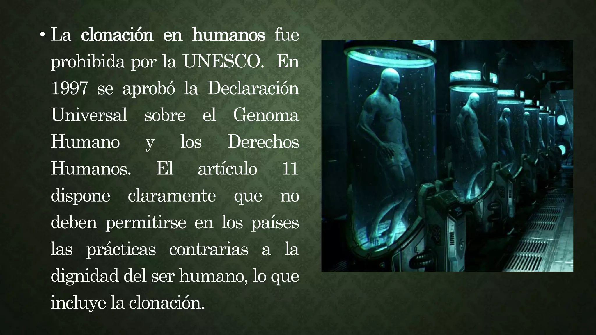 La clonacion, concepto, historia, tipos, importancia, la ética y la ...