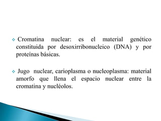 La célula | PPTX