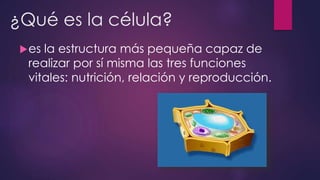 La célula. Para clase de procesos biofisiológicos. | PPTX