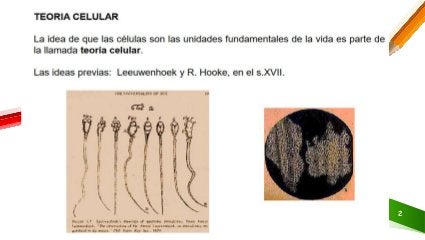 La Célula.pptx