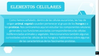 LA CÉLULA.pptx | Free Download
