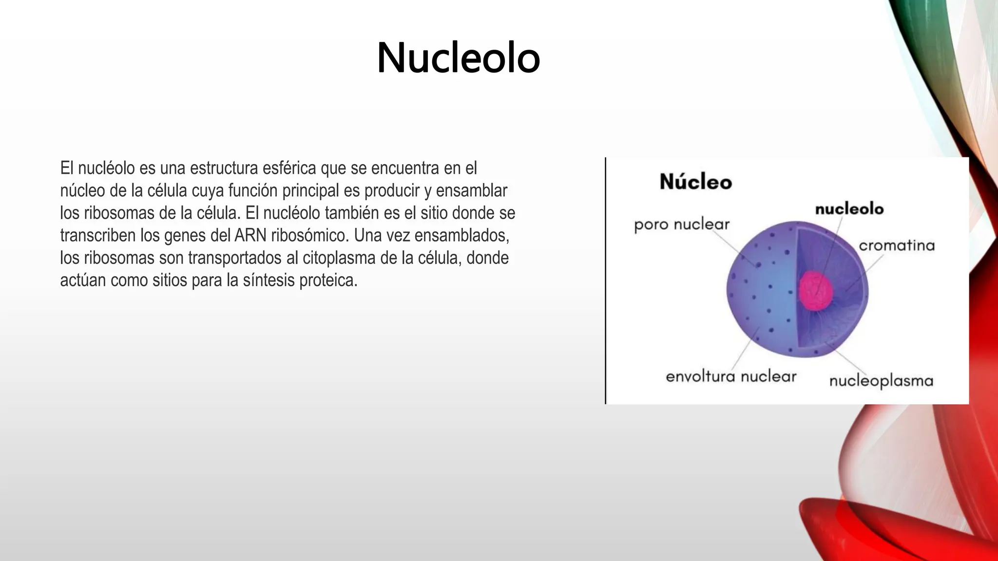 La célula y estructura del ADN-ELA .pptx