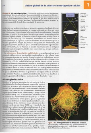 La célula cooper | PDF