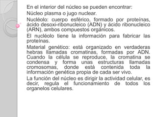 La célula evento pedagógico pp | PPTX