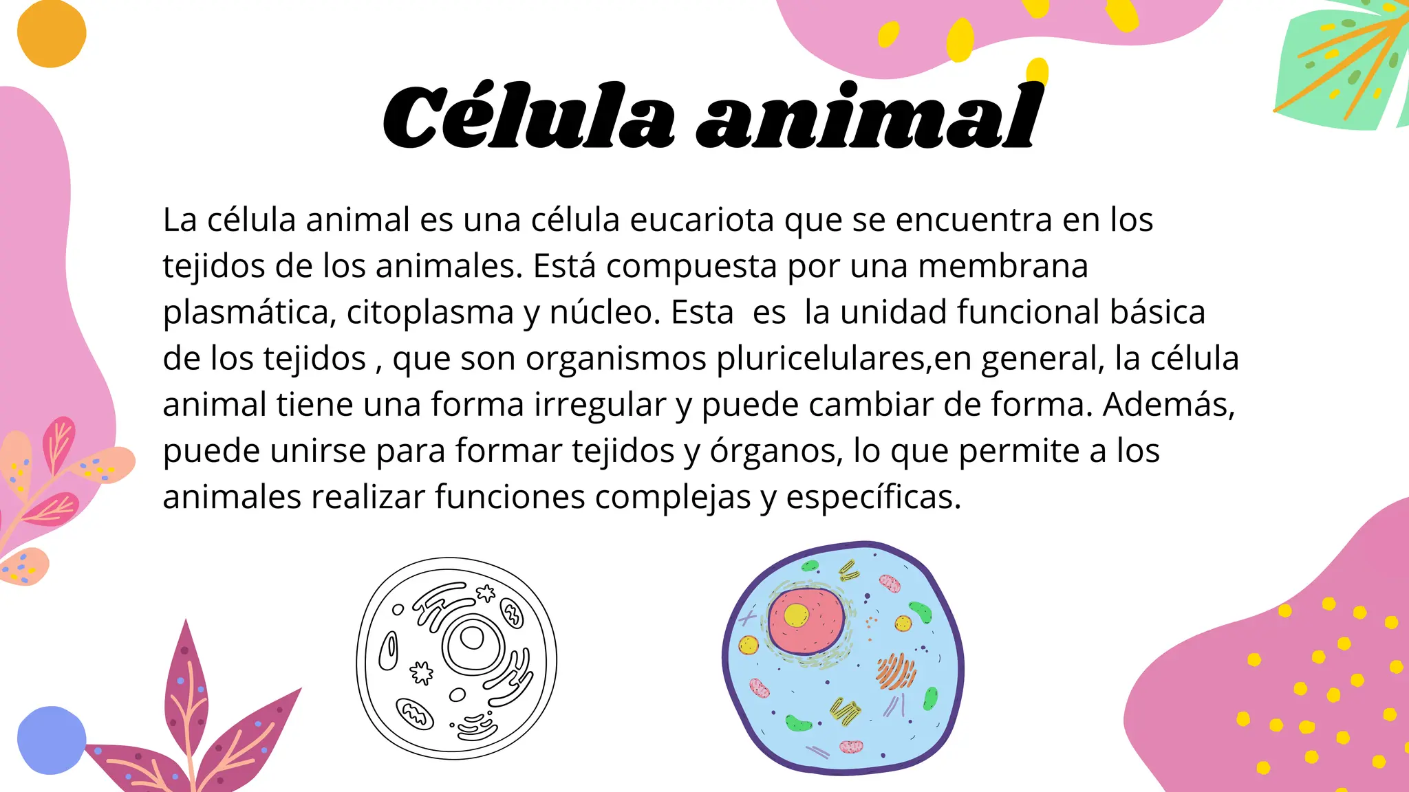 REPRESENTACION DE La Célula Animal.pdf.. | PDF