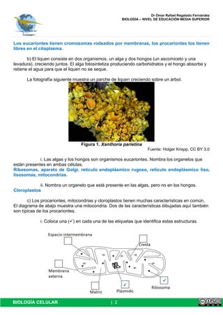 La célula como la unidad de la vida - Respuestas.pdf