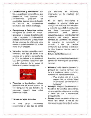 LA CÉLULA REVISTA.docx