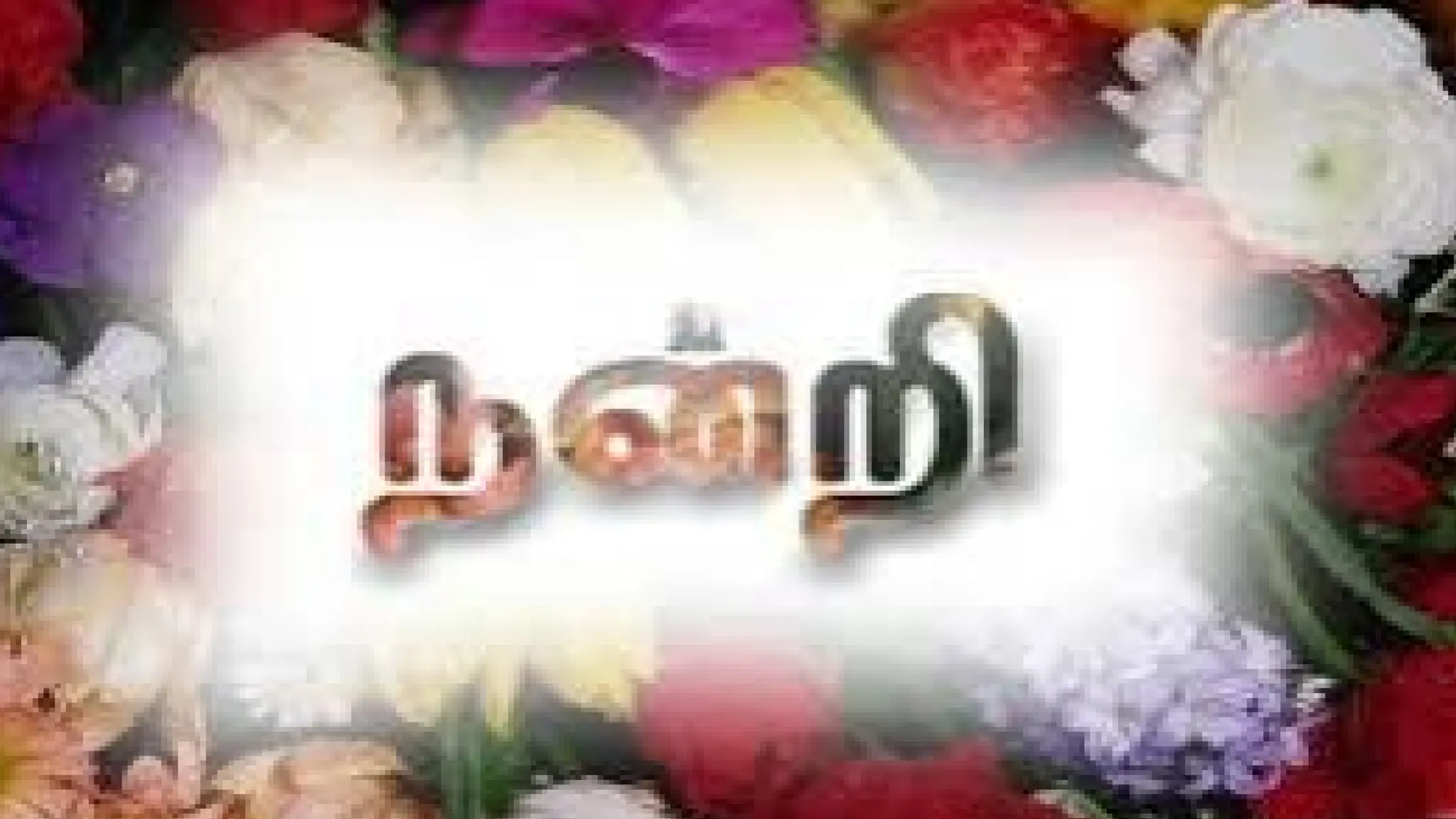 Language Across the curriculum -Meaning.pptx