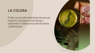 Diapositiva sobre la enfermedad de la cólera | PPTX