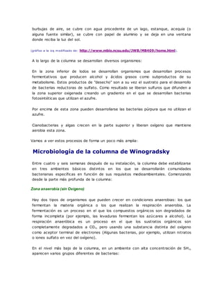 La columna de winogradsky | DOCX