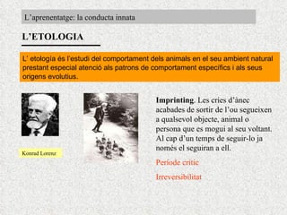 La Conducta Innata | PPT