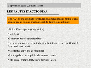 La Conducta Innata | PPT