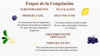 LA CONGELACION.pptx