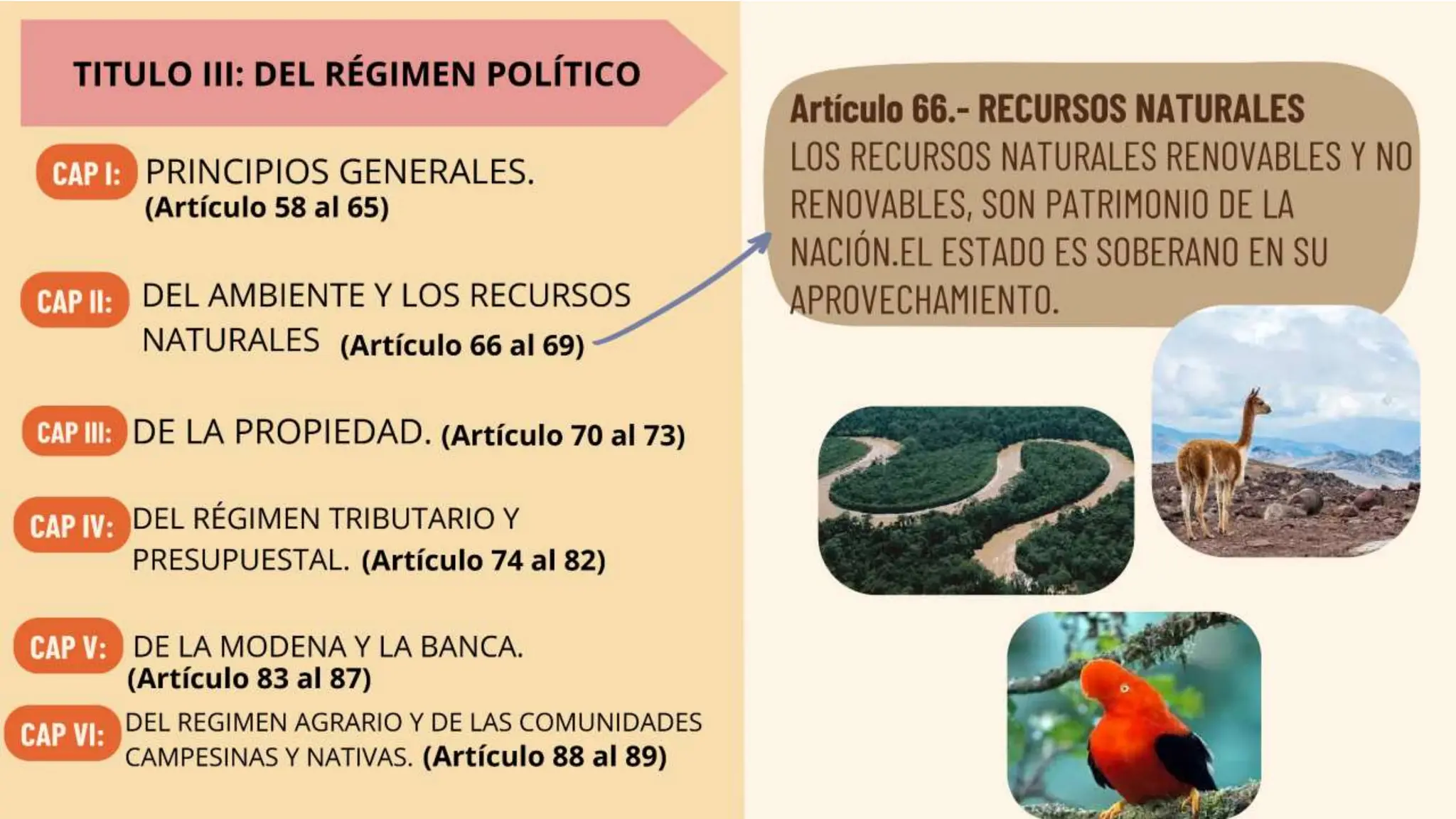LA CONSTITUCIÓN DEL PERÚ- MARYORY ZARELLA CERVANTES SAEZ.ppt