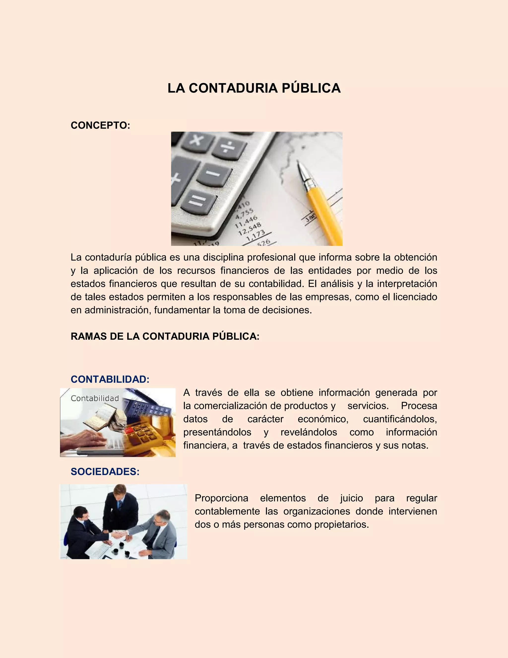 La contaduria publica | PDF
