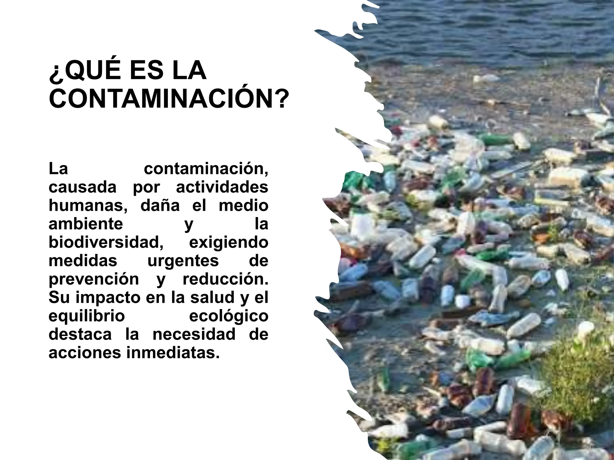 La contaminación y los diferentes tipos de contaminación | PPTX