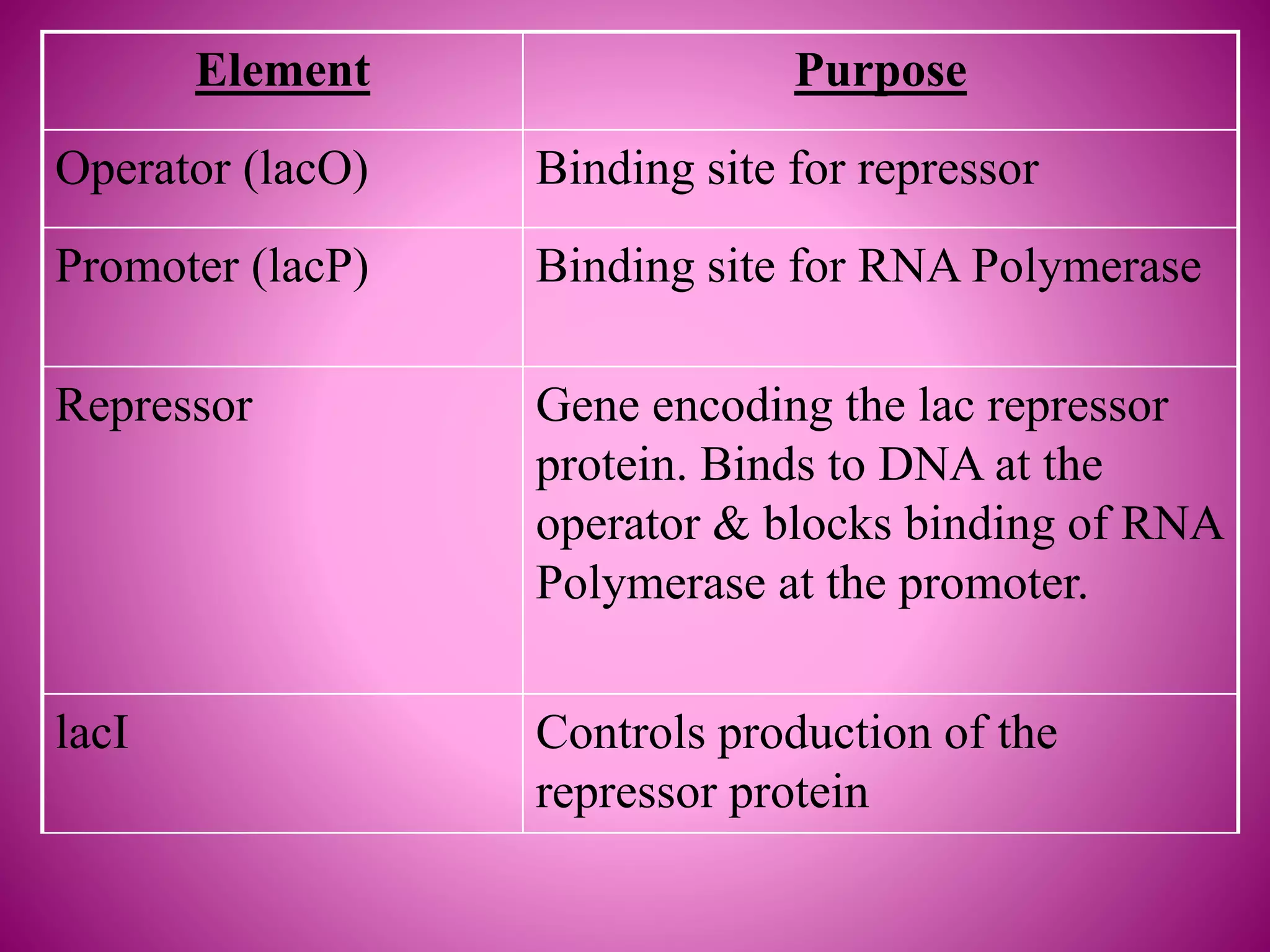 The Lac operon | PPTX