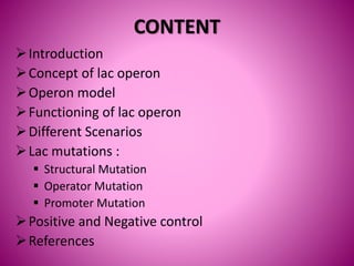 The Lac operon | PPTX