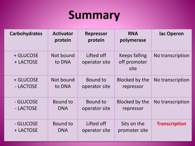 The Lac operon | PPTX