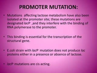 The Lac operon | PPTX