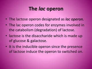 The Lac operon | PPTX