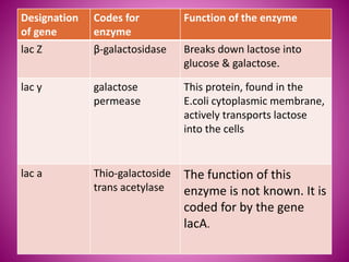 The Lac operon | PPTX