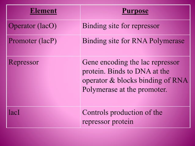 The Lac operon | PPTX