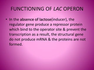 The Lac operon | PPTX